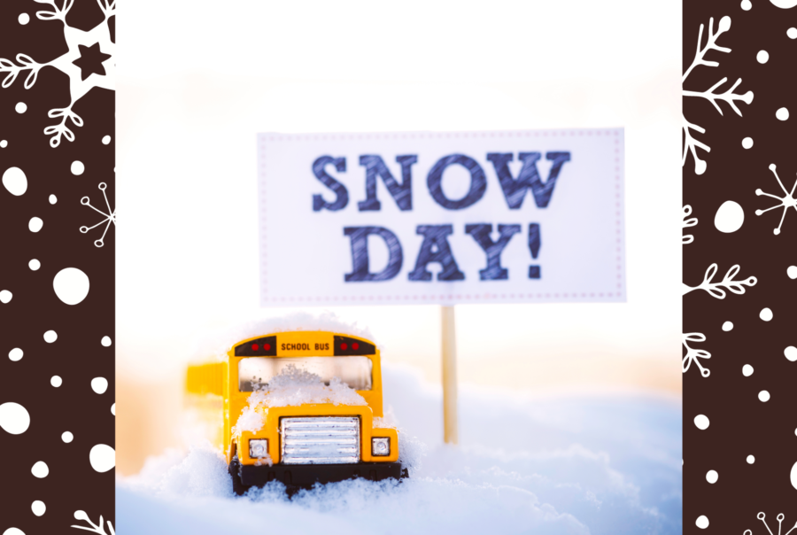 Platinum Support Thomas School Bus Dealer | Hoekstra Transportation